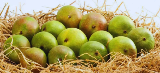Bommanna Heavenly Farms – Bommanna Heavenly Farms